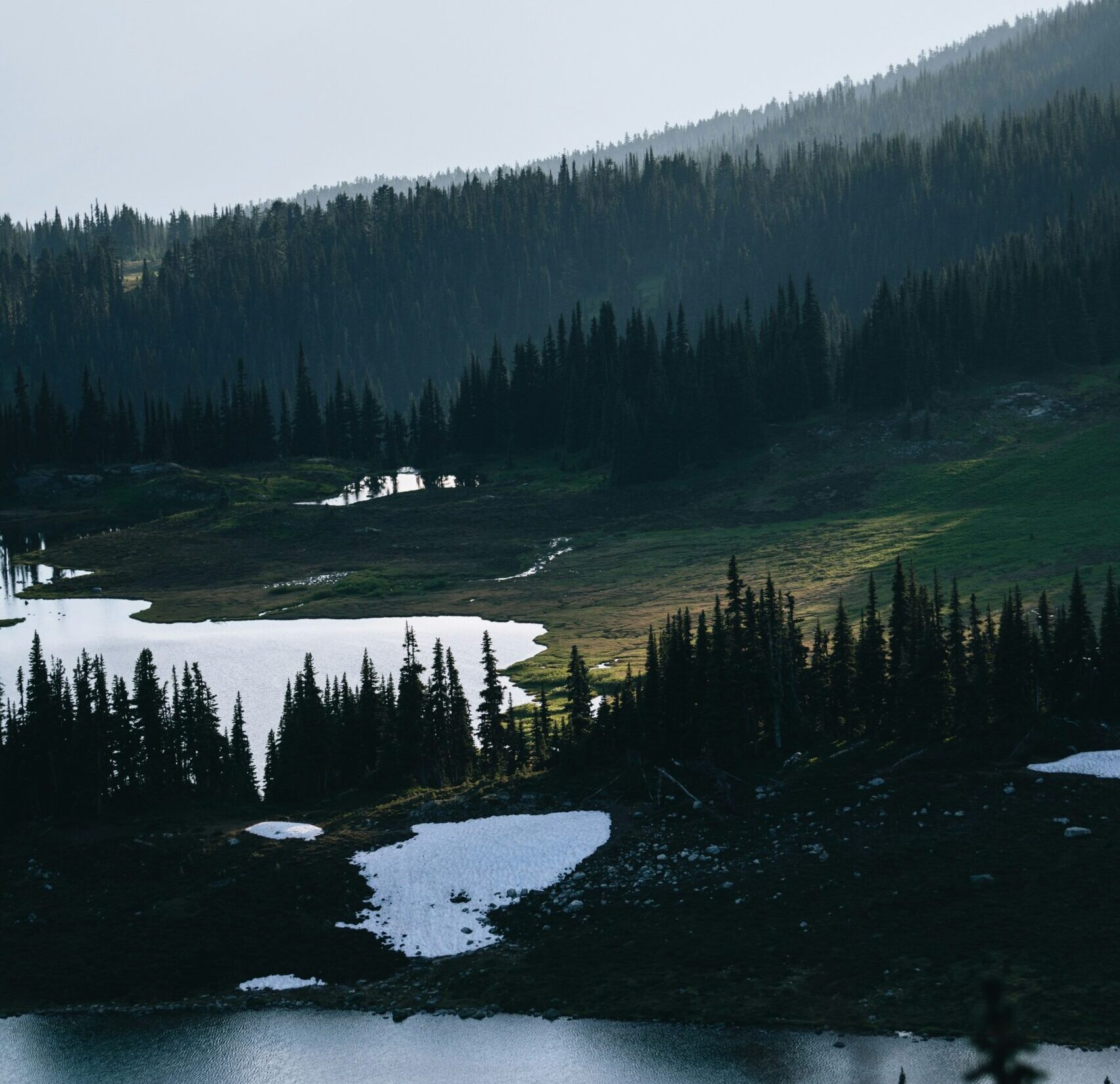 BC PNP Updates 2025: Key Changes to the Provincial Nominee Program in ...